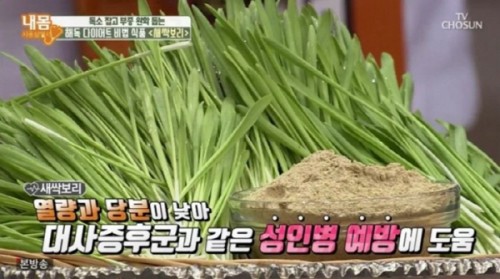 새싹보리분말 디톡스 다이어트에 효과적하루 10g 이하 섭취가 적정 아시아투데이